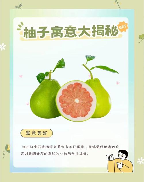 红柚是什么意思图标