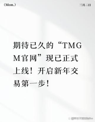 tmgm官网下载安装图标