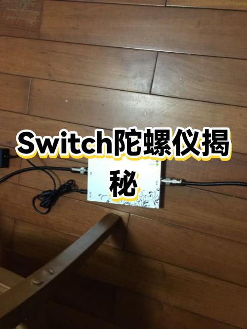ns手柄陀螺仪失灵图标