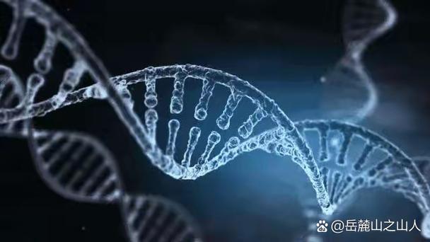 侄子有叔叔的基因吗游戏截图