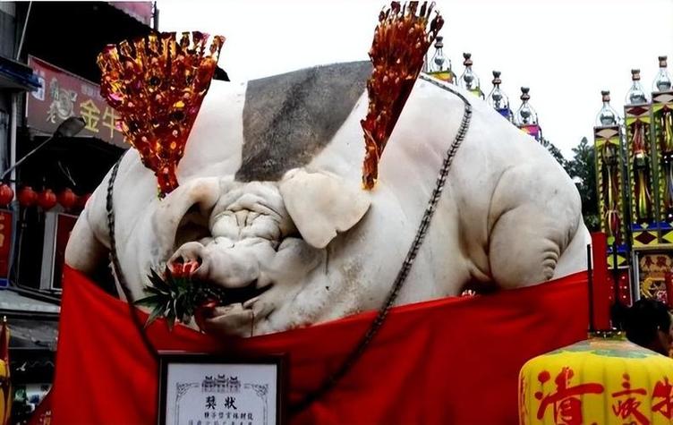 物为猪王,打什么三大生肖图标
