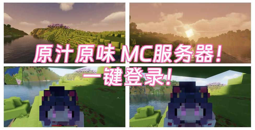 mc离线登录可进的服务器图标