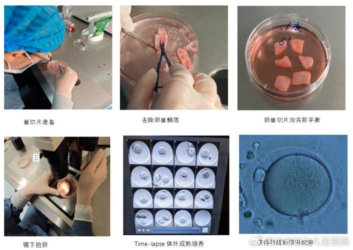 生殖活动记录保存