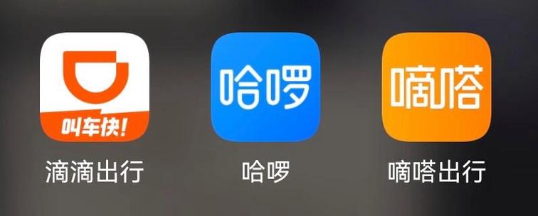 哈啰车主如何查看信誉分图标