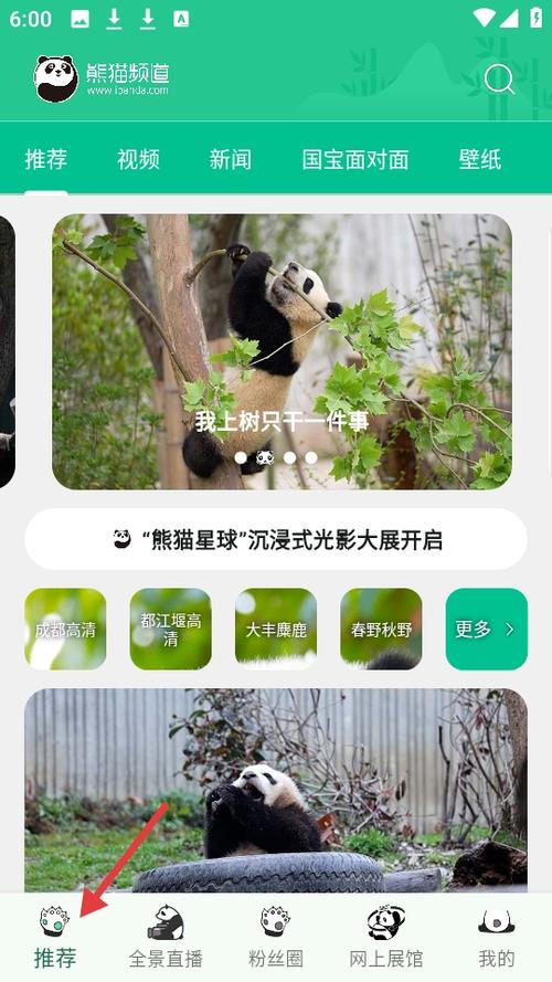 熊猫频道最新热门视频