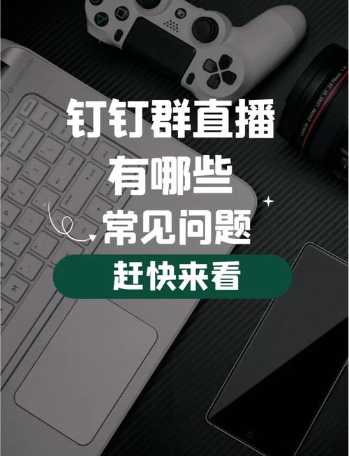 钉钉群直播回放在哪里看图标