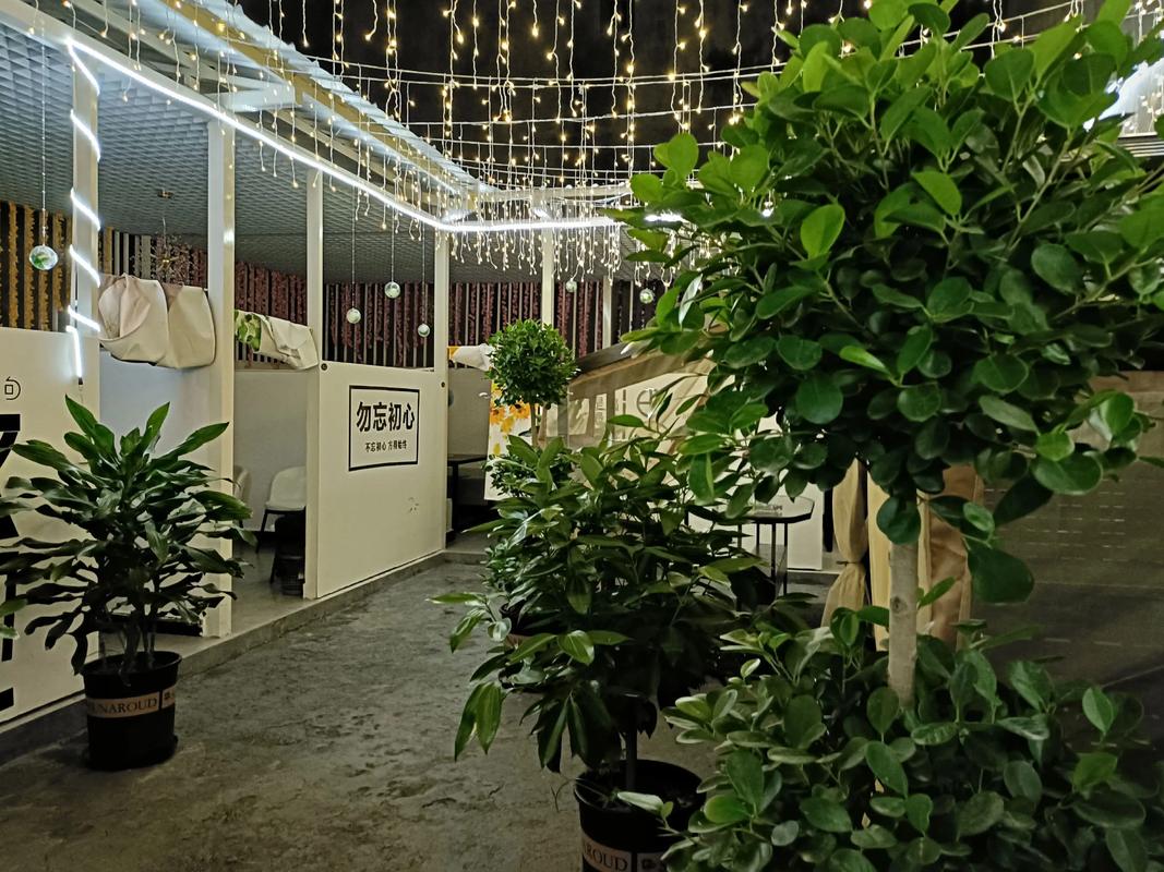 长春休闲吧贴吧图标
