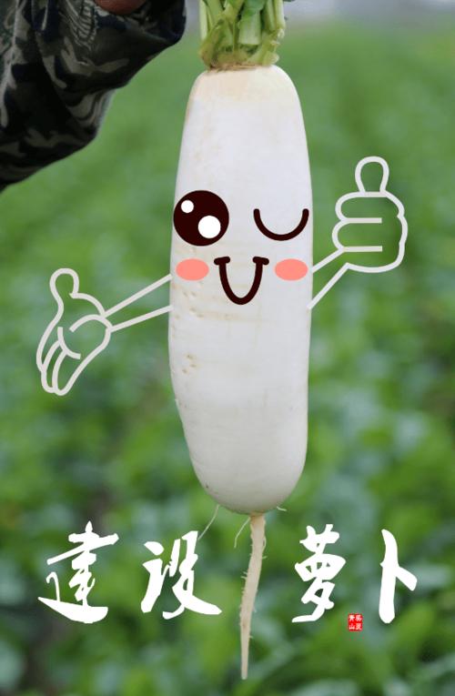 青山萝卜 建设萝卜图标