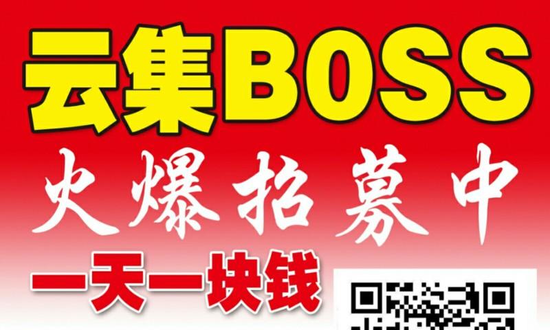 如何加入云集店主图标
