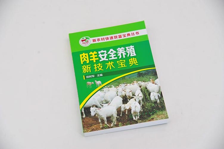 养羊的利润与成本图标