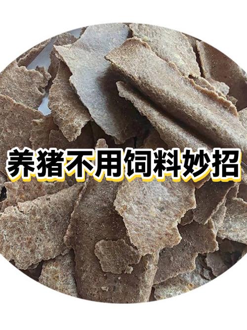 一起来养猪多久能养到38级截图
