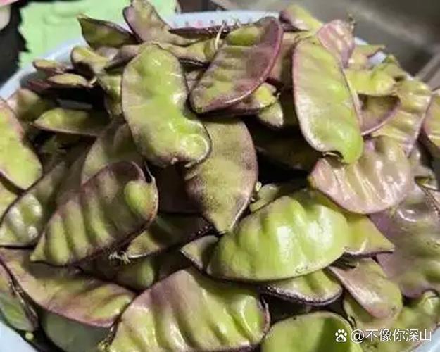 三种人不宜吃扁豆图标