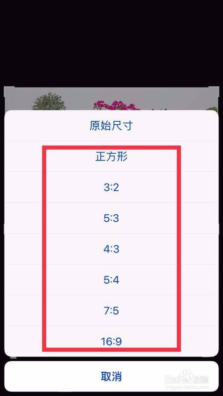 苹果拍照怎么设置默认16:9截图