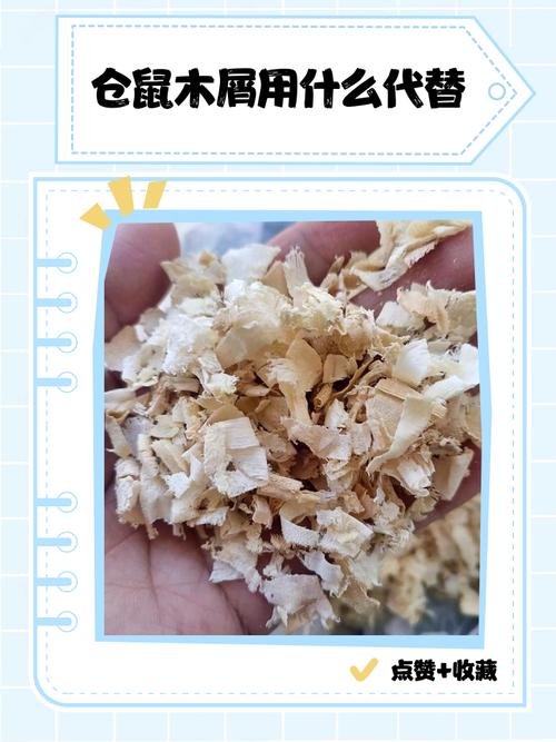 仓鼠木屑可以用棉花代替吗图标