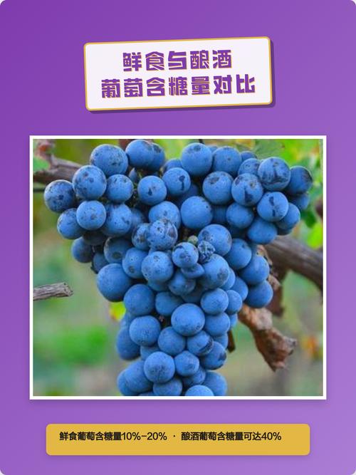 葡萄含葡萄糖吗图标