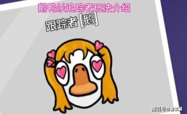 鹅鸭杀专业杀手玩法截图