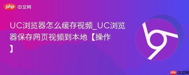 UC浏览器缓存的视频图标