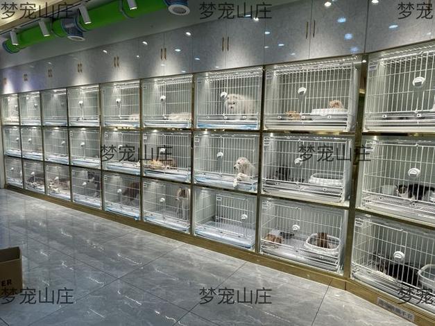 附近宠物猫回收店图标