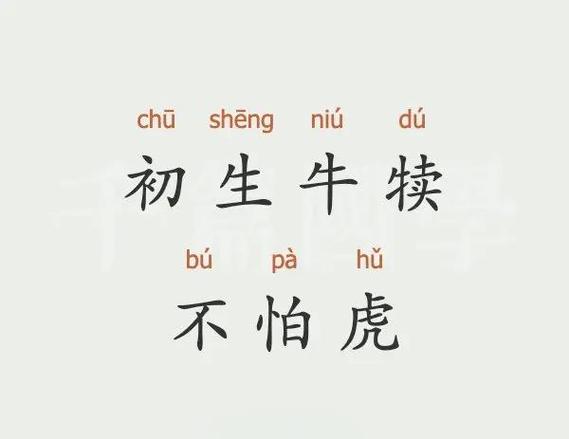 成语小牛人图标