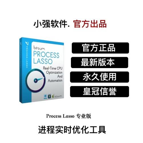 process lasso激活码截图