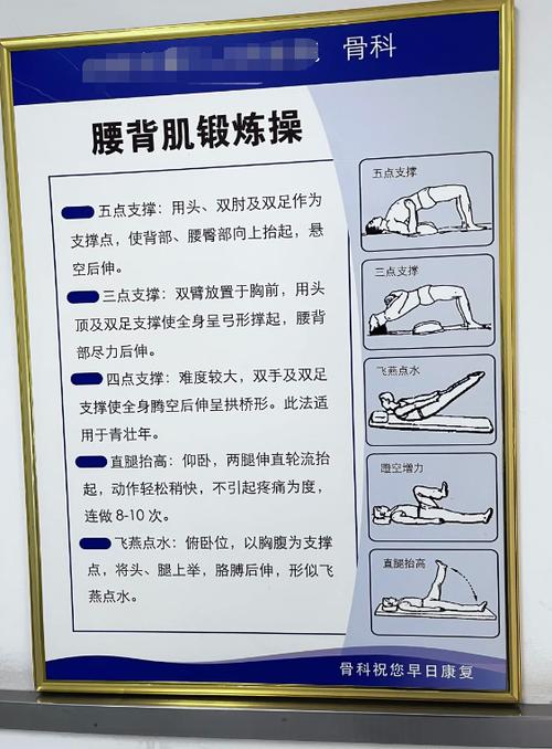 锻炼身体最有效的方法命运战歌图标