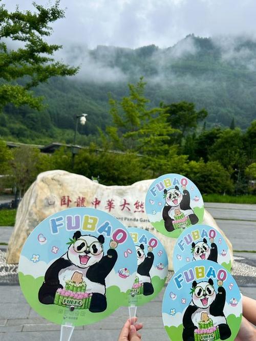 福宝在四川哪个熊猫基地截图