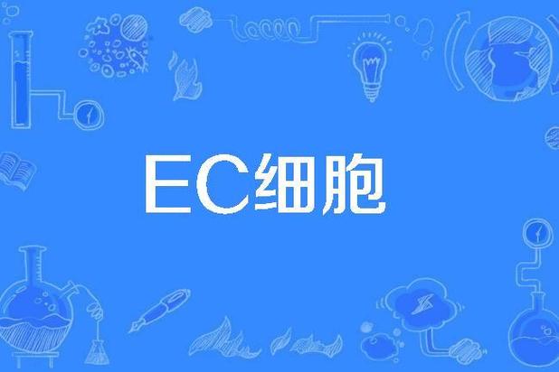 ec医学上是什么意思截图