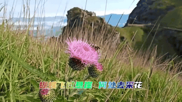 徒步最火的十首歌图标