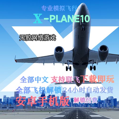 模拟飞行10安卓图标