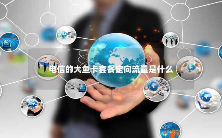 大鱼卡定向流量图标