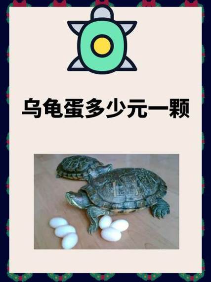 乌龟下蛋的迷信说法图标