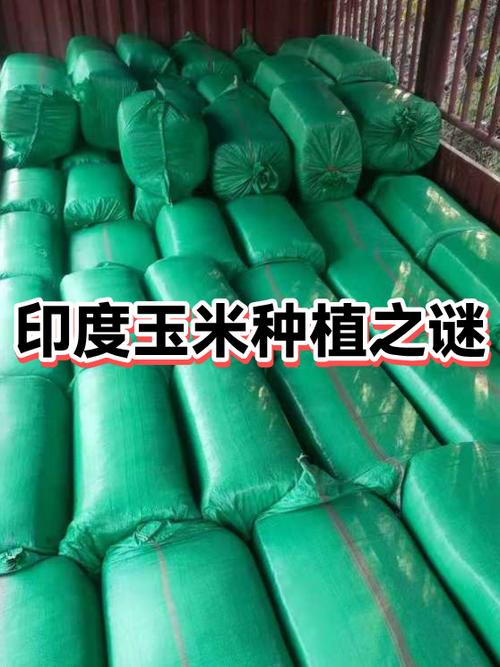 印度养活20亿人难吗图标