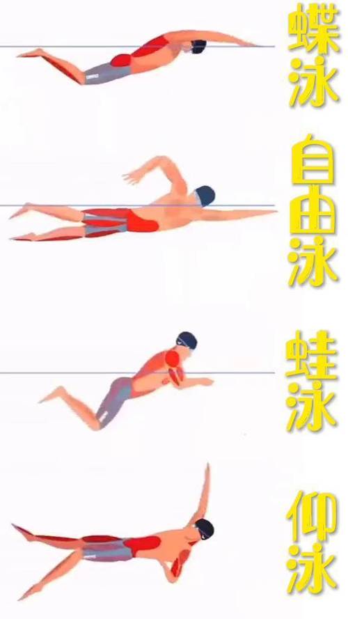 游泳的正确姿势截图