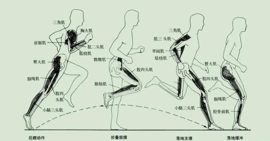肌肉跳动是怎么回事图标