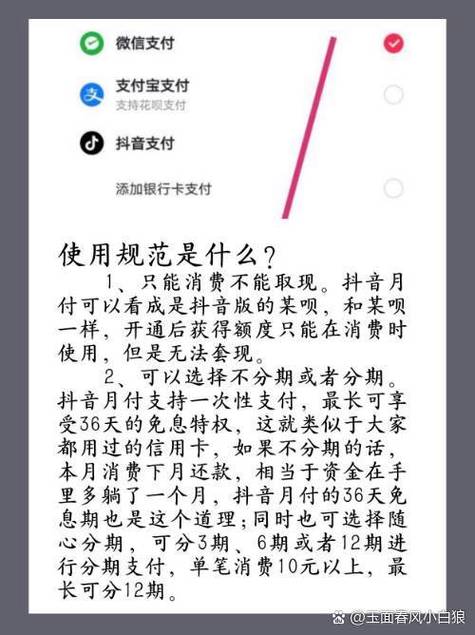 支付宝付款能用抖音月付吗图标