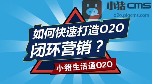 小猪团队平台可靠吗截图