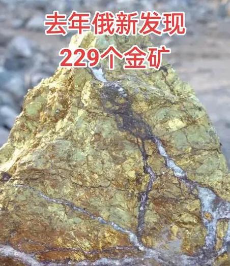 俄罗斯金矿开采政策