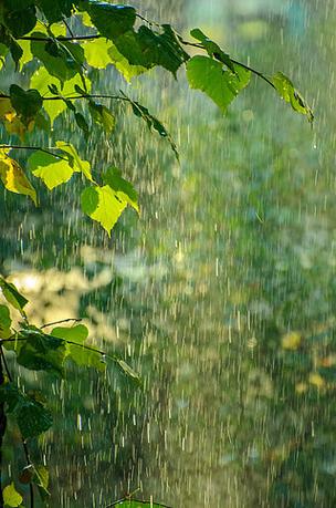 各种颜色的雨图标