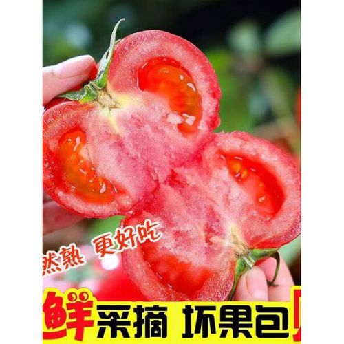 生吃西红柿有什么好处截图
