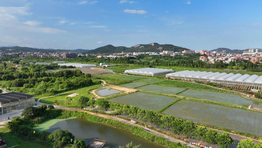 福建省有机农场有几个图标