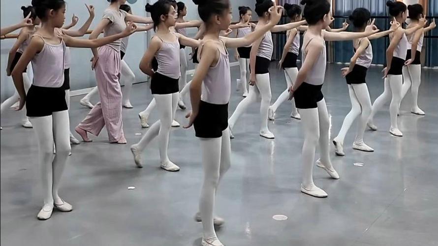 二级舞蹈合集图标
