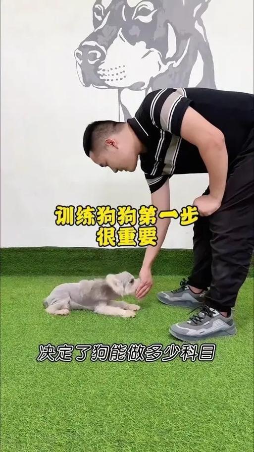 训练狗图标
