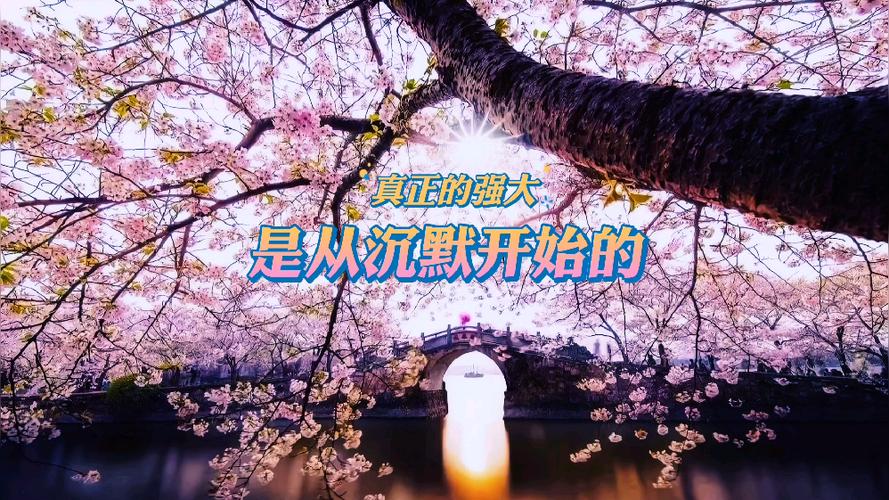 夜听人生感悟30分钟图标