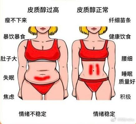肥胖的女人性功能会下降吗图标