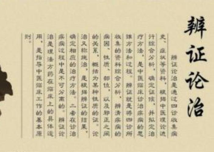 辨证施治免费阅读全文截图