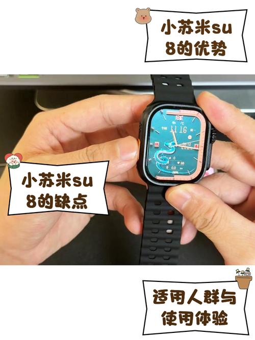 小苏米是杂牌子还是名牌图标
