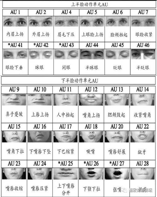 唇语解读app截图