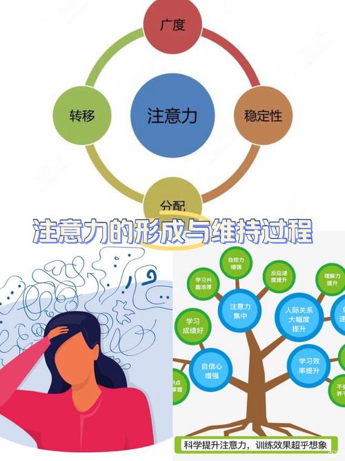 注意力截图