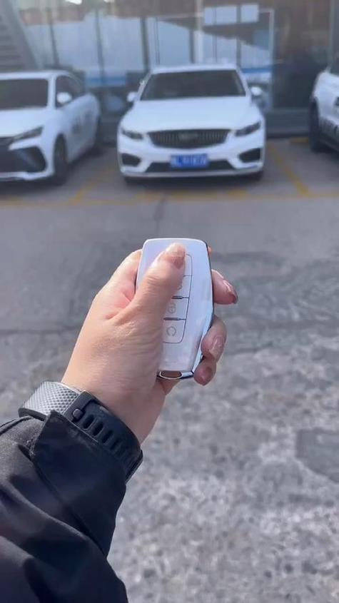 星瑞远程启动功能怎么用截图