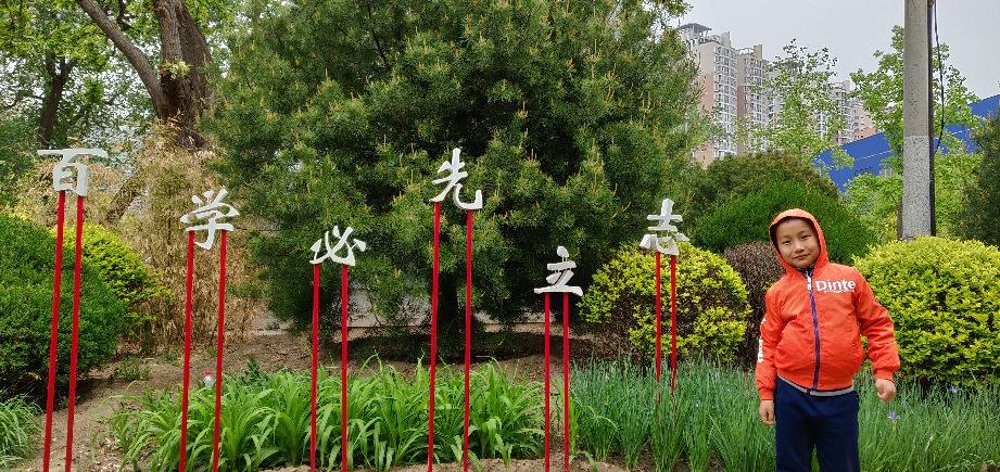 梦想花园花语图标